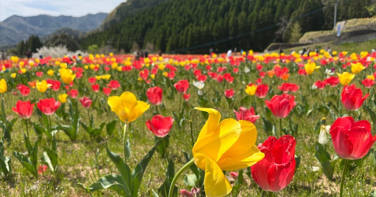 自分は嘘つきだと認めた瞬間｜life_lab33