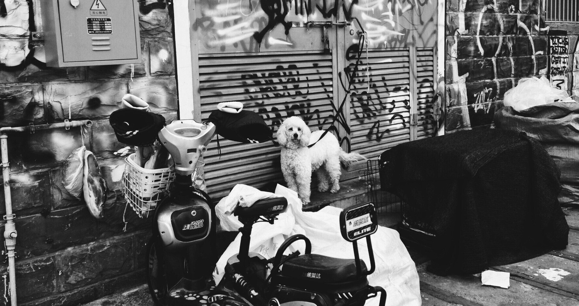 ケイ（kei）｜note