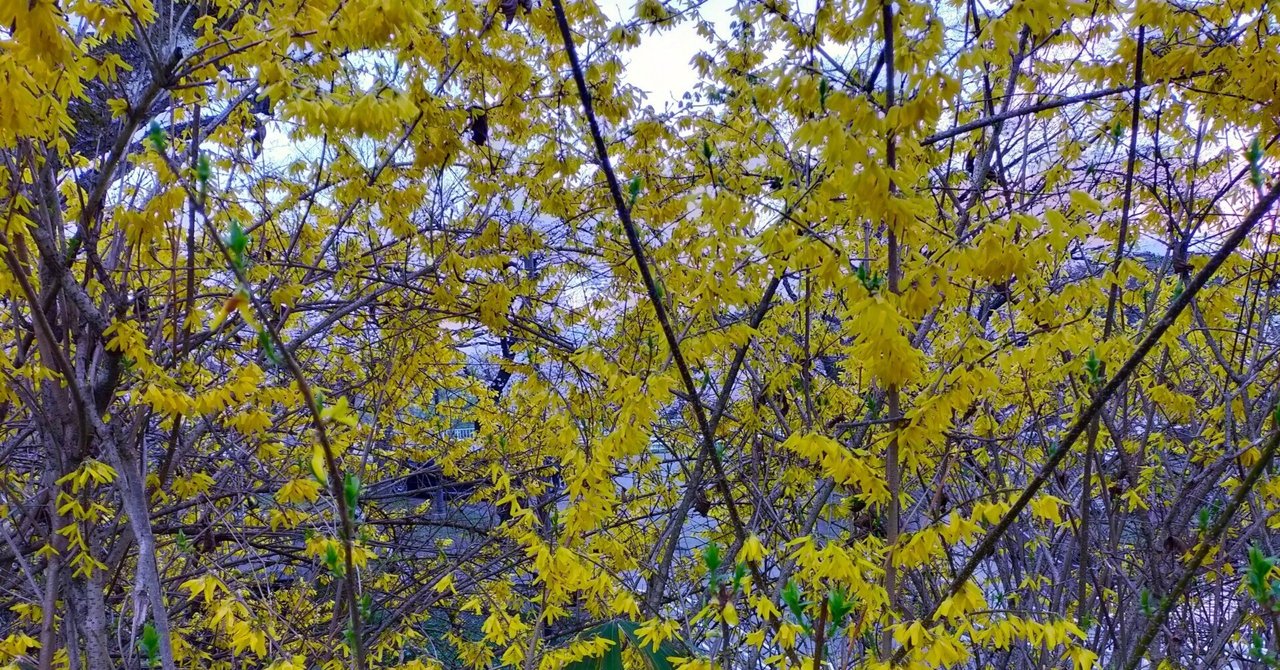 信と恒｜Yukari｜note