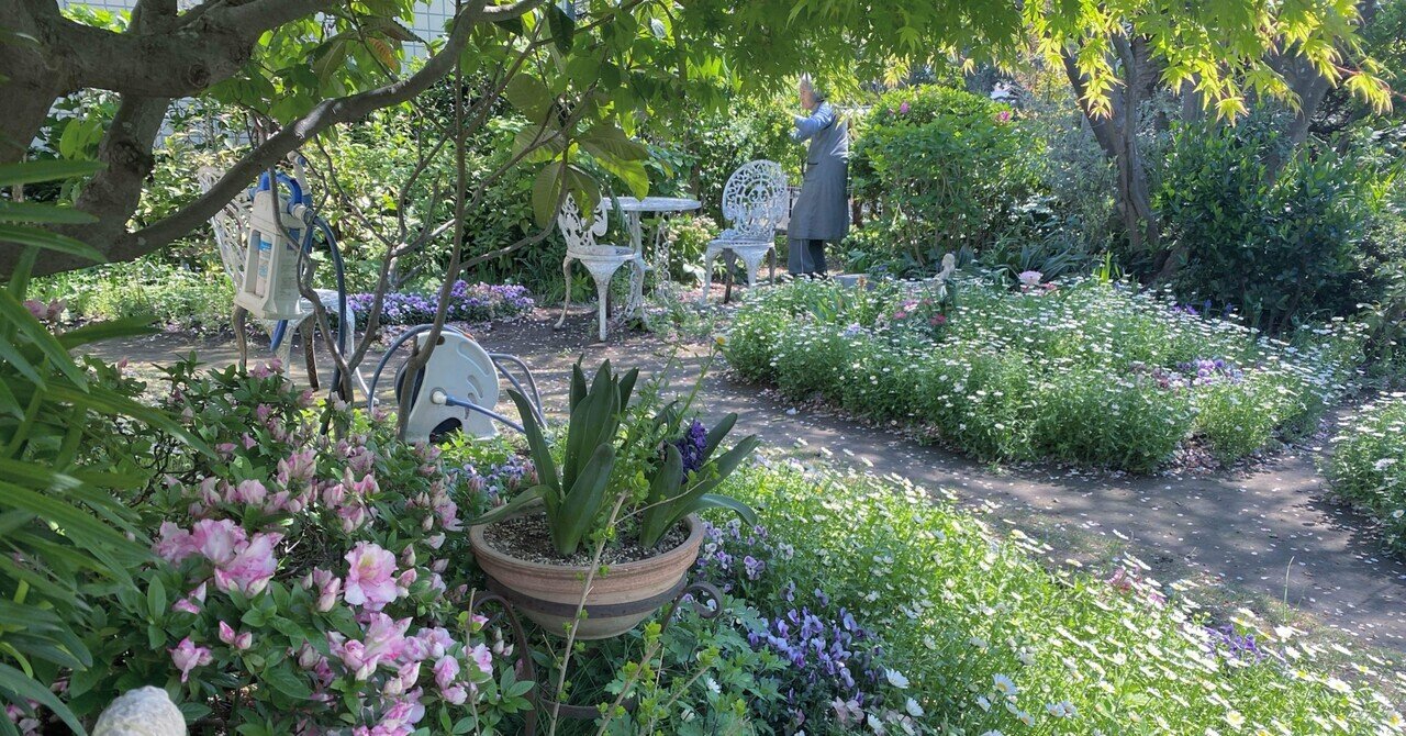 庭の手入れをしている母。｜ayumu aizawa｜note