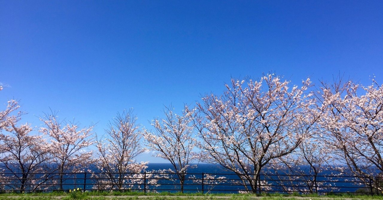 43歳、リスタート｜mari.｜note