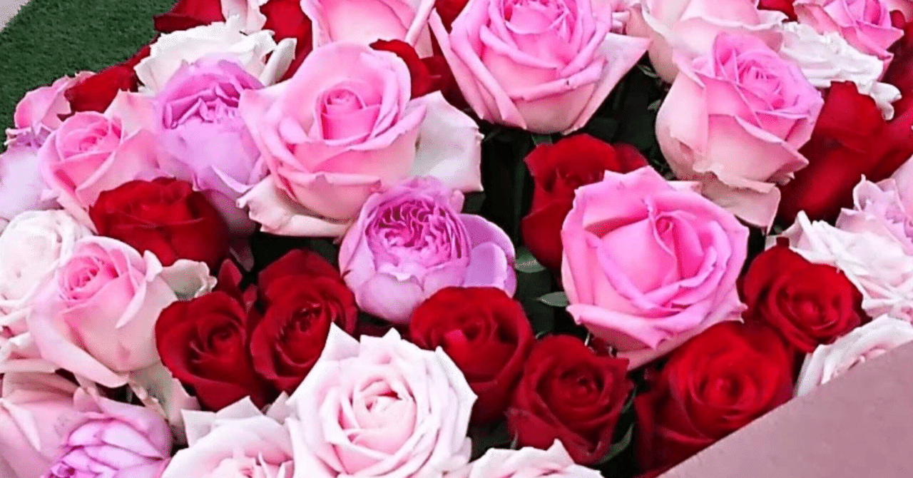 fujiko@Couturière Nuu｜note