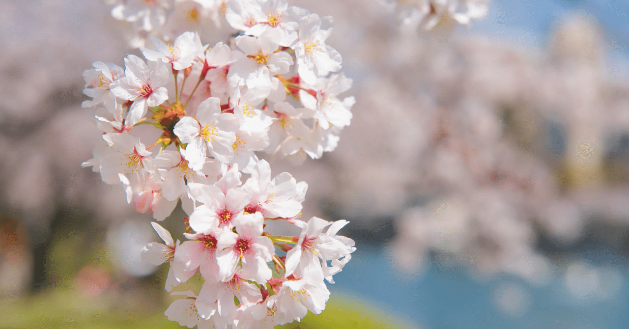 shinya（シンヤ）｜note