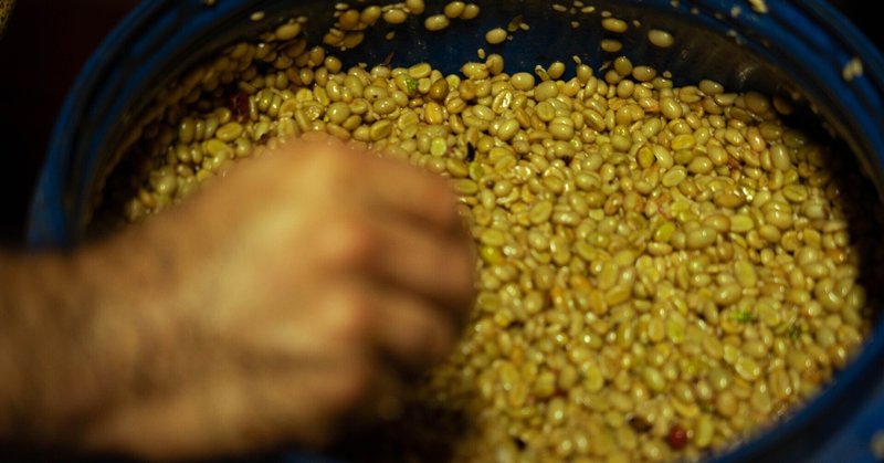 haiz coffee roastery / SABO Inc.｜note