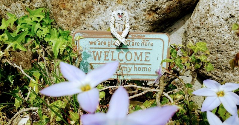 Vol.2-#5 恥ずかしながら帰って参りました。｜Toru｜note