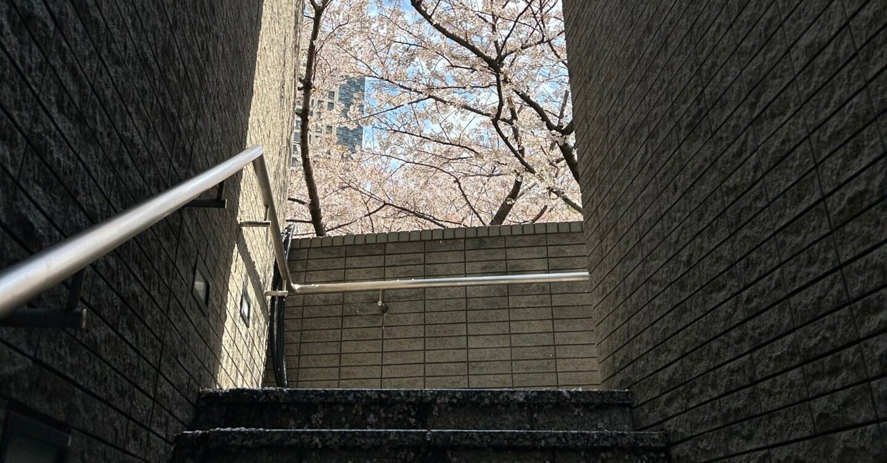 【ショートエッセイ】しゃがむ｜ayano_leizei 冷泉あやの