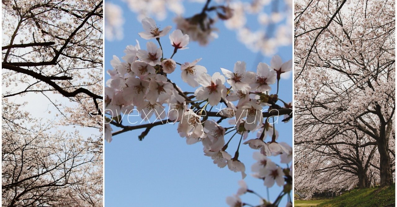 20230410｜yura｜note