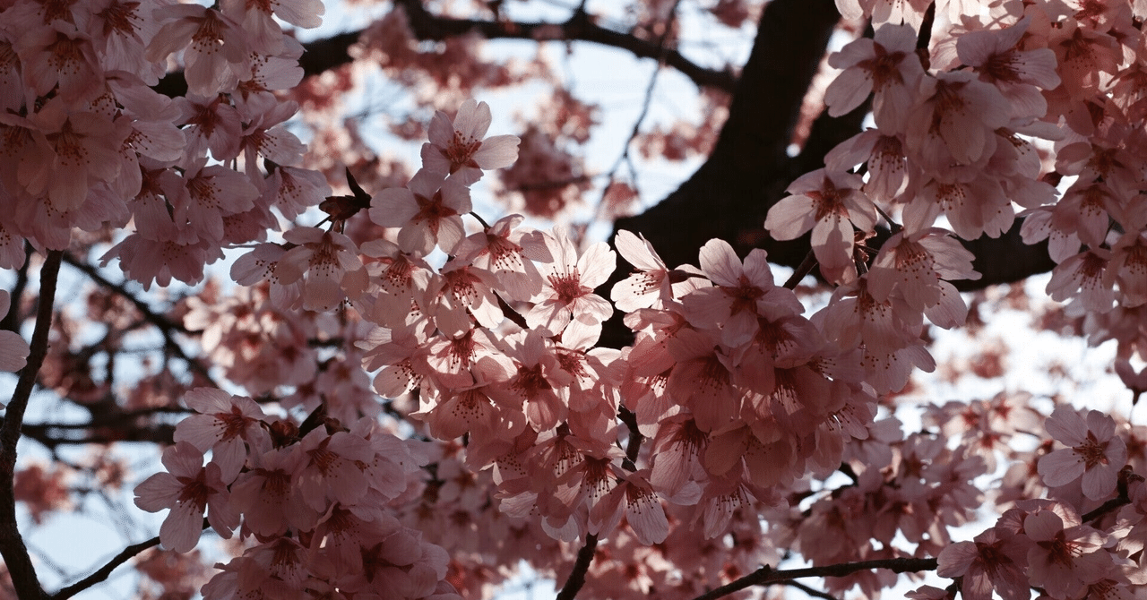 はじめに｜tama｜note