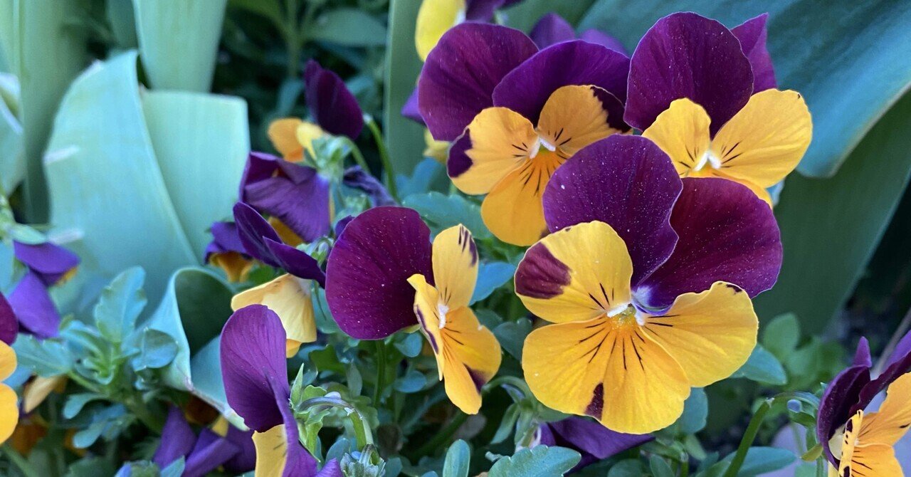 ソロ活女子ごっこ プラネタリウム編｜maco