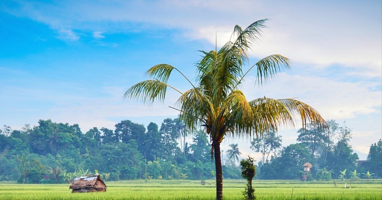 比較対象があるからこそ自分が解る｜life_lab33｜note