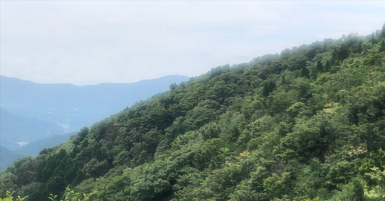 自然との距離感｜Noro Daiki