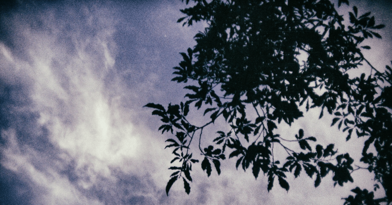 失われた大きな物語をもとめて｜大島 有貴(Yuki Oshima)｜note