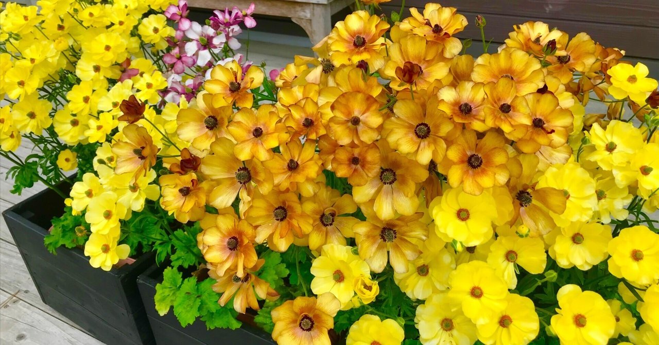 怒りのタンクが溢れ出す｜life_lab33｜note