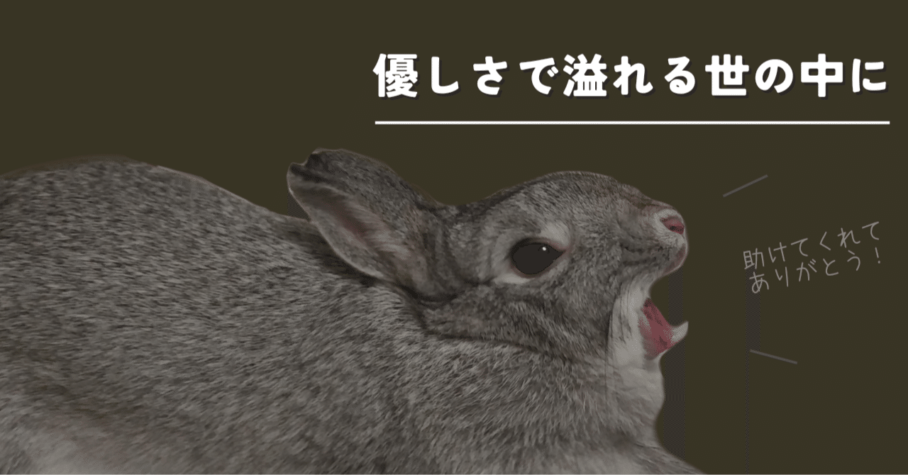 優しさで溢れる世の中になって欲しい｜aco｜note