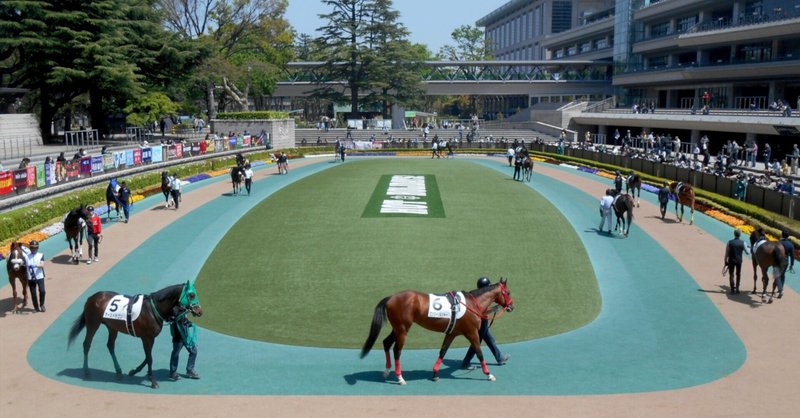 パドックをバカにすることなかれ ～競馬好きなら誰でも見れるようになるお馬さんの散歩について～｜Rayzero/れいぜろ