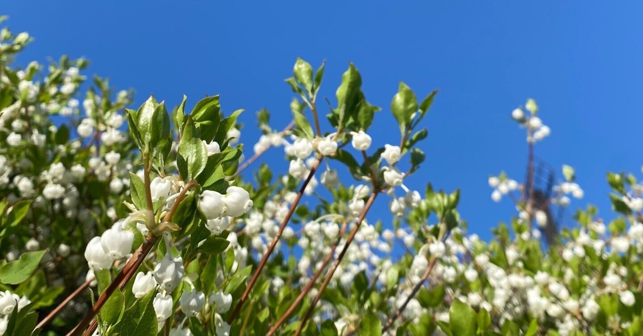 「これができたら最高」をやる。〜次回、4月15日〜｜各務春花｜Kagami Haruka