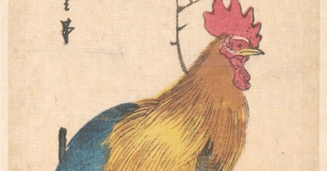 サビ猫トライアル（12日目）｜sabi_cat