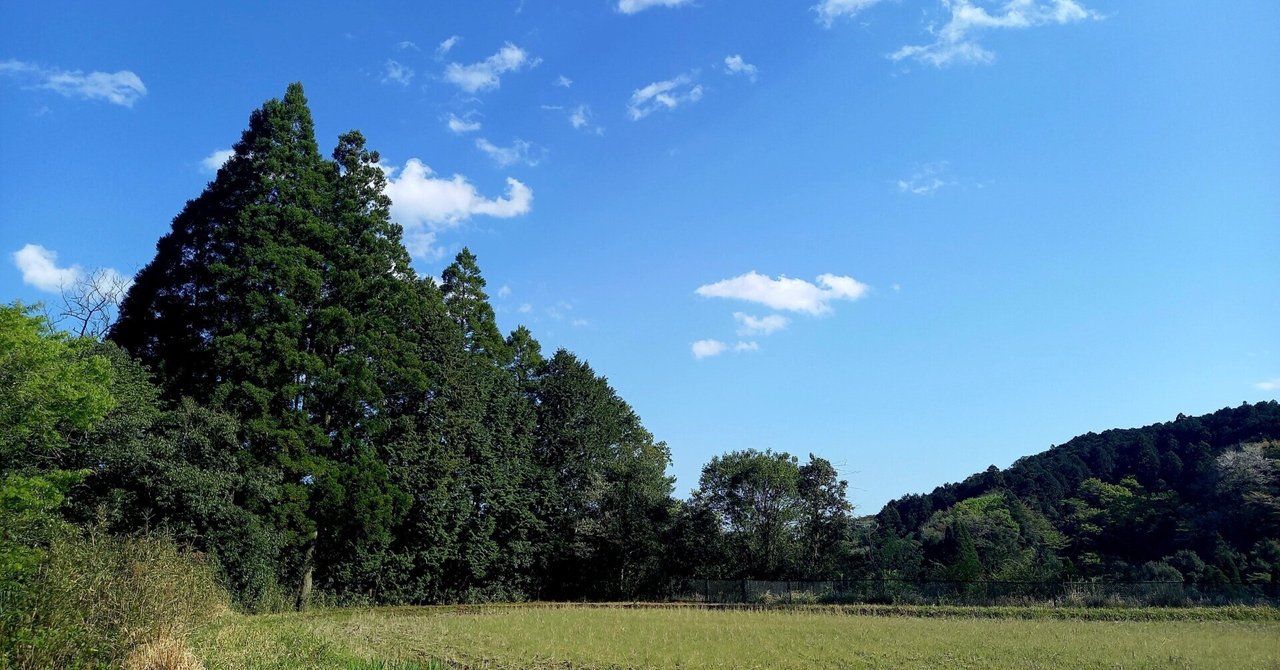 覚悟を決めて自分の足で歩いていきましょう!【おうし座♉オンリー占い】4月14日金|【おうし座♉オンリー占い】
