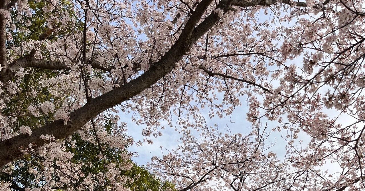 振返り🆚川崎｜石井講祐(ishii kosuke)｜note