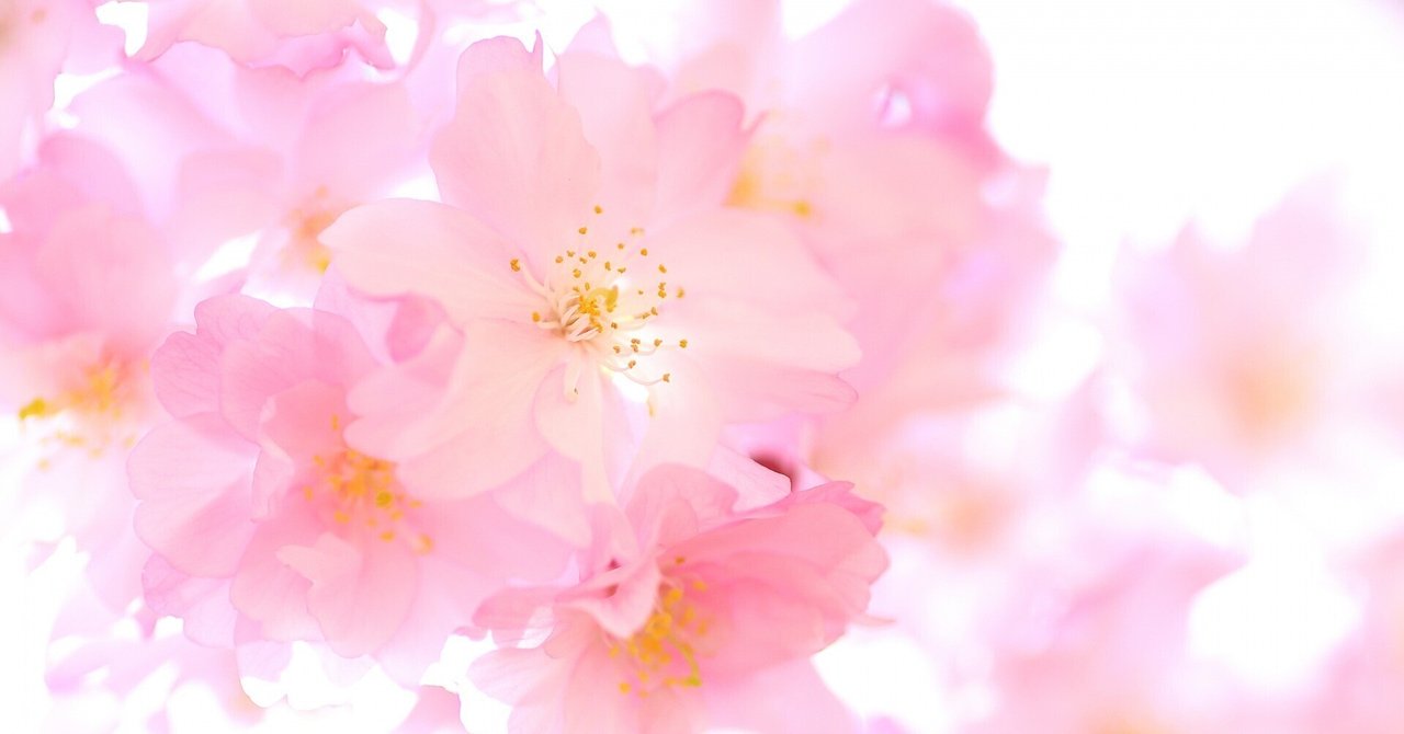 アダルトチルドレンだけが持つ宝物について。｜Sunao♡LOVE＆〝感じる〟女性性マーケティング♡｜note