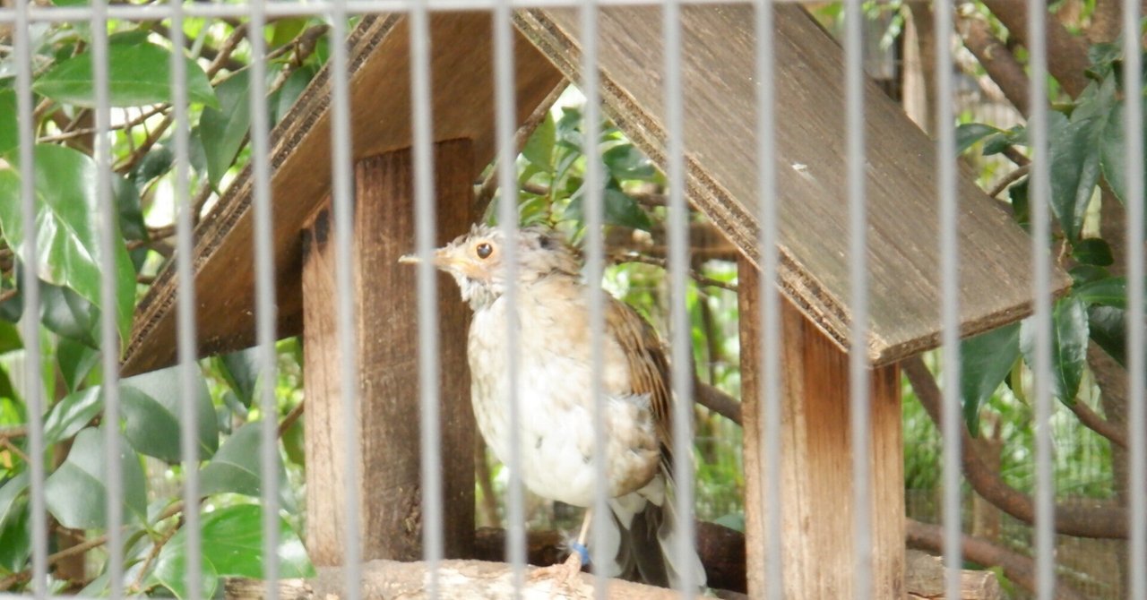 20230413｜斜｜note