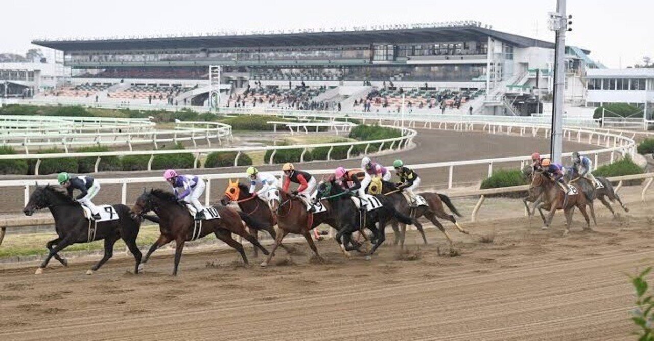 413 園田競馬平場5r予想〜🔥穴馬徹底狙い🔥〜｜パマぞうくん｜note