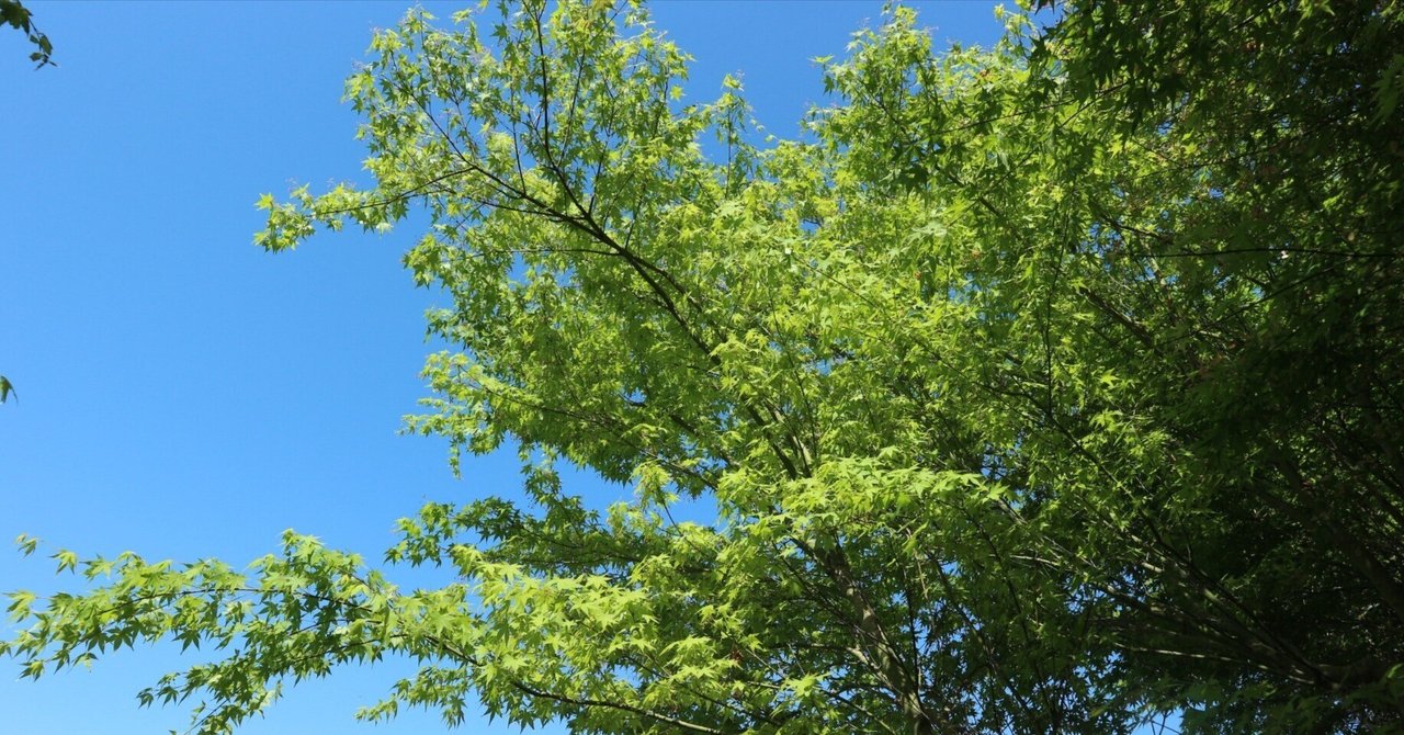 たまりにたまったリサイクルにまわすしかない紙類をecomoへもっていく日々｜木山 仁（きやまじん）｜note
