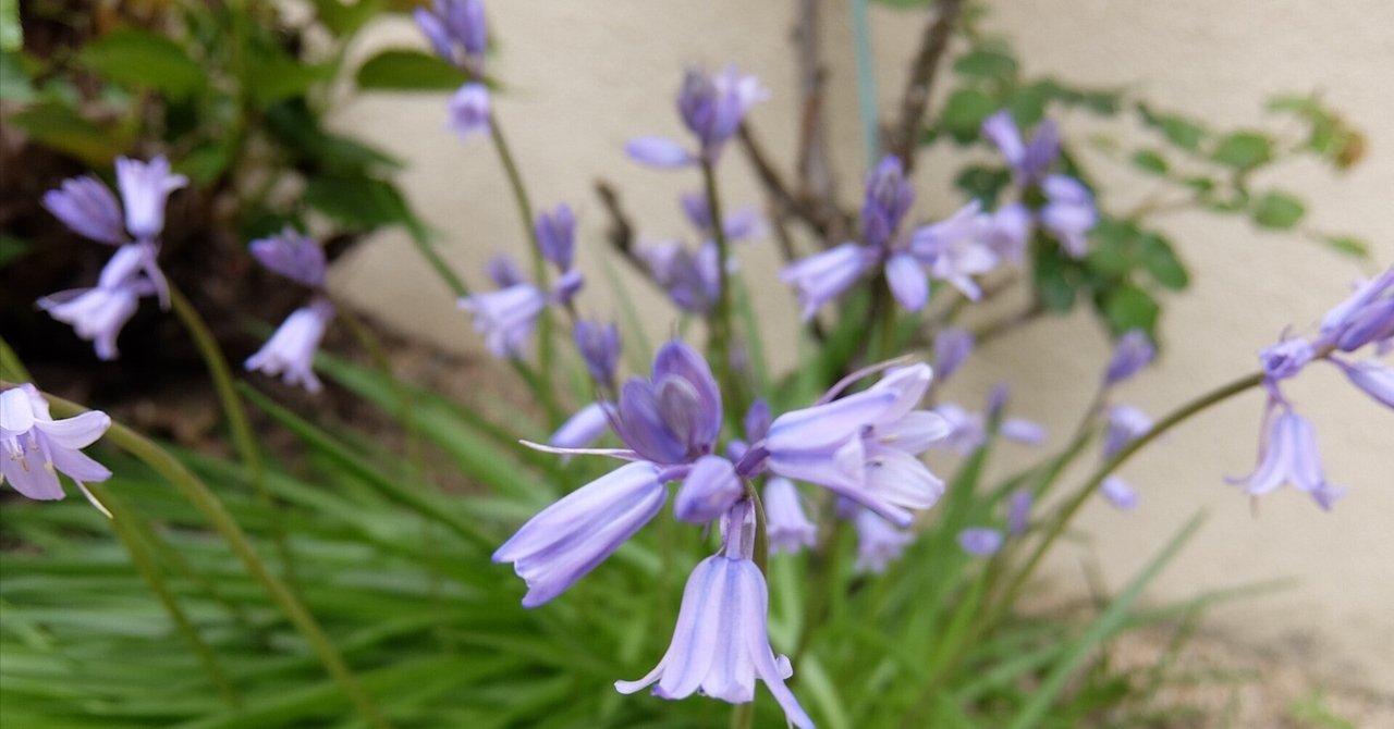 春のお庭｜milk｜note