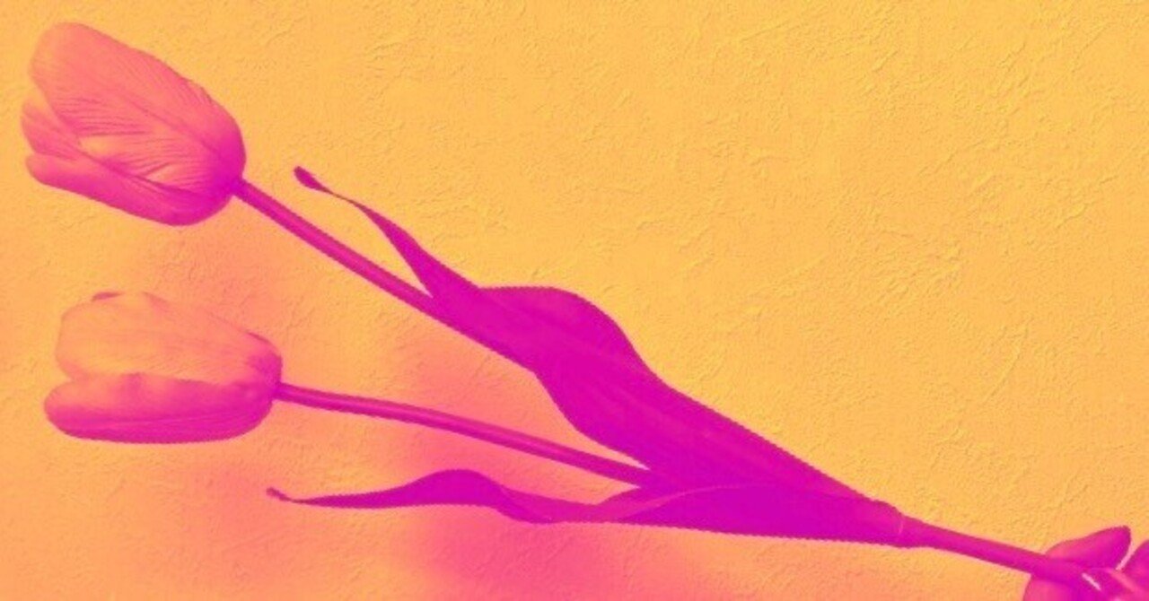 ＋ripのコンセプトや注意事項など｜＋rip｜note