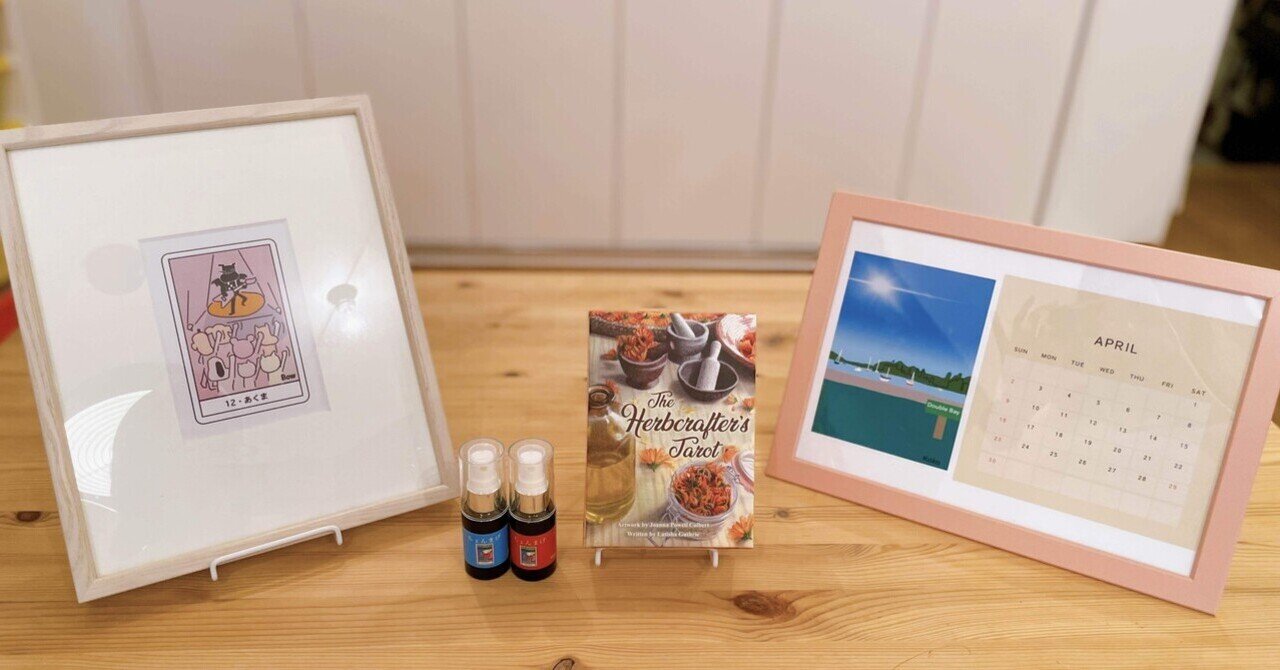 動画撮影しました！｜Koko｜note