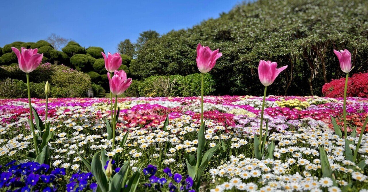 能古島｜nonopapa