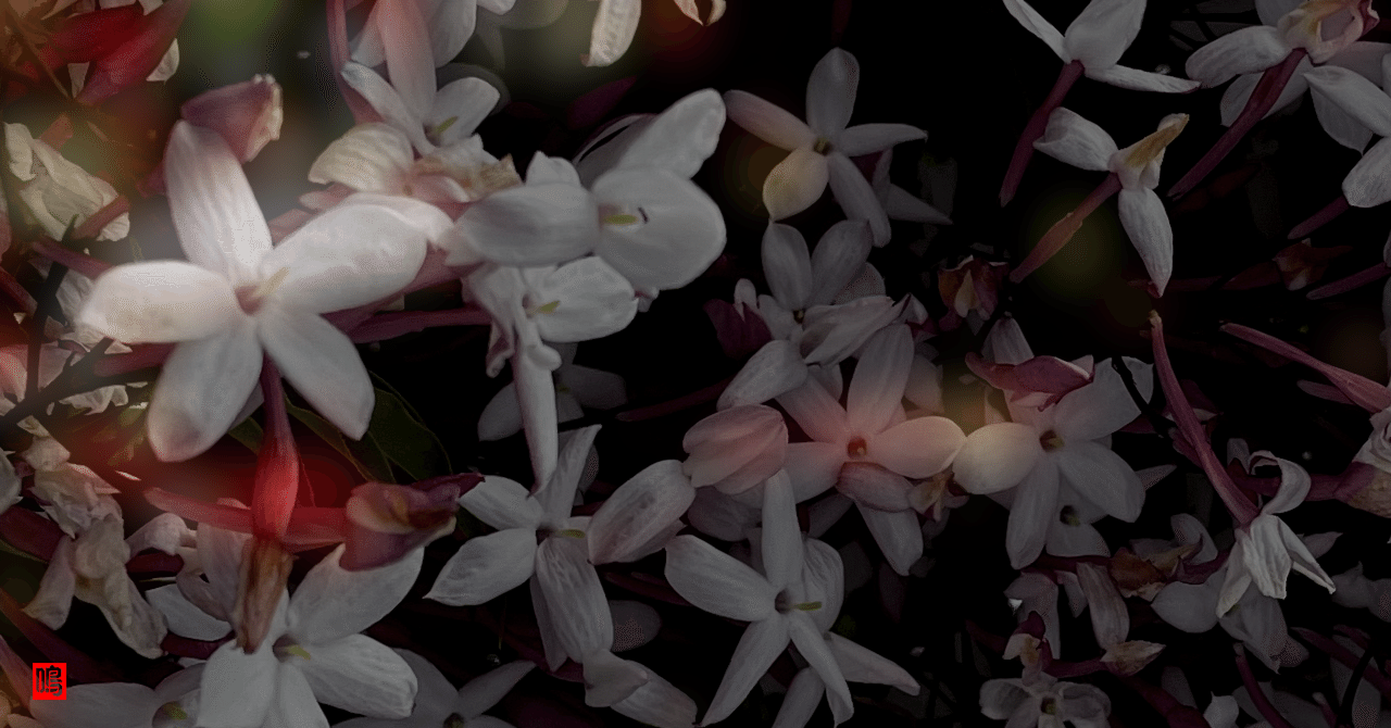 雨の休日｜nakiusagi