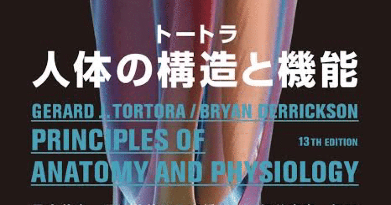 心身機能と人体｜gifted_curlew427