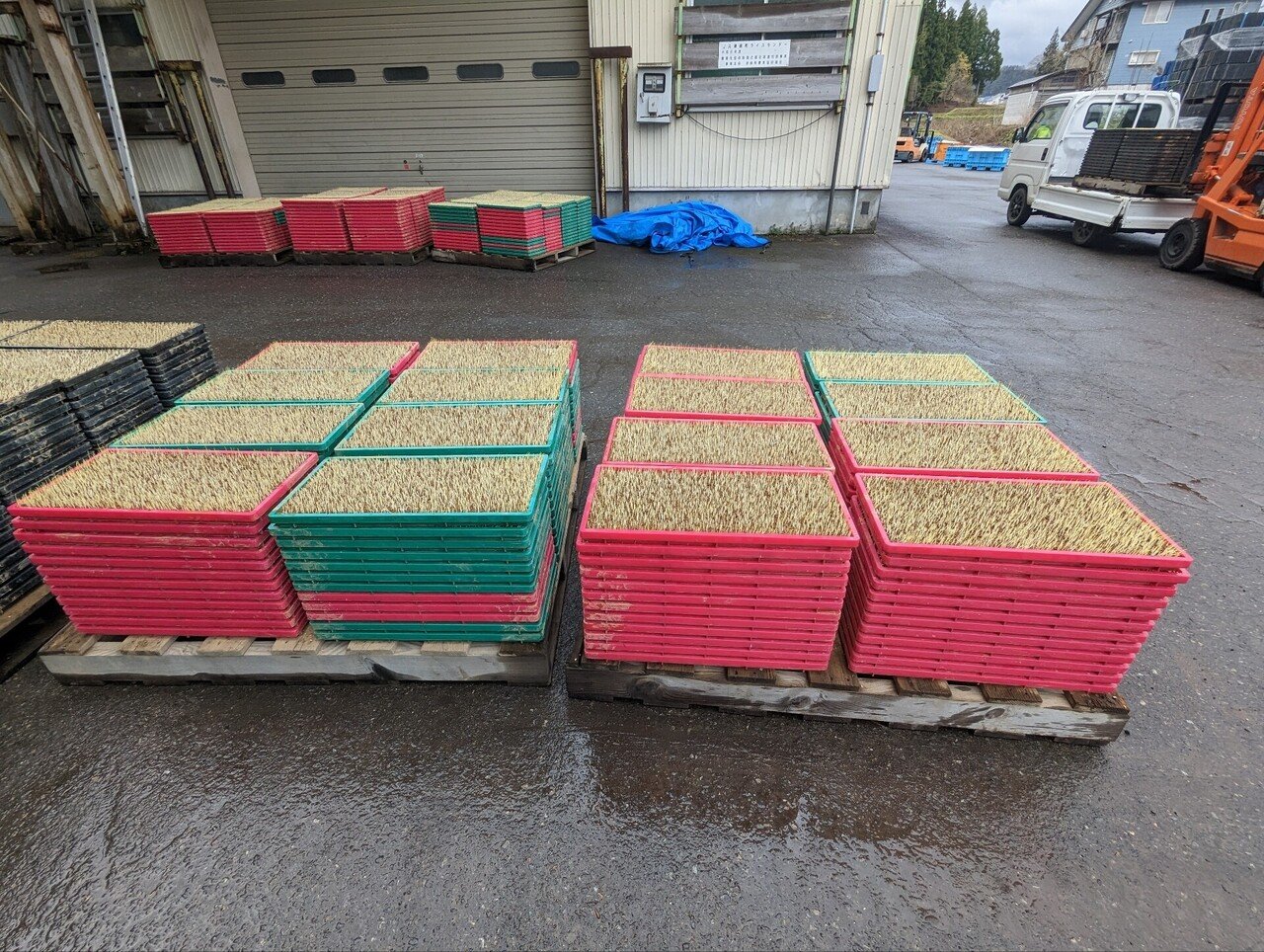 苗出し｜takaya-ryu｜note