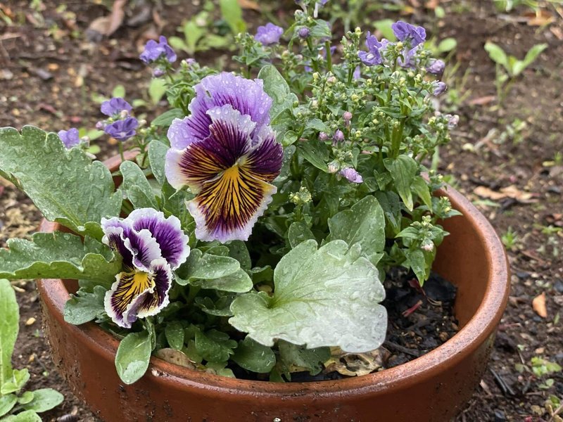 眺める、の日。｜ sio｜note