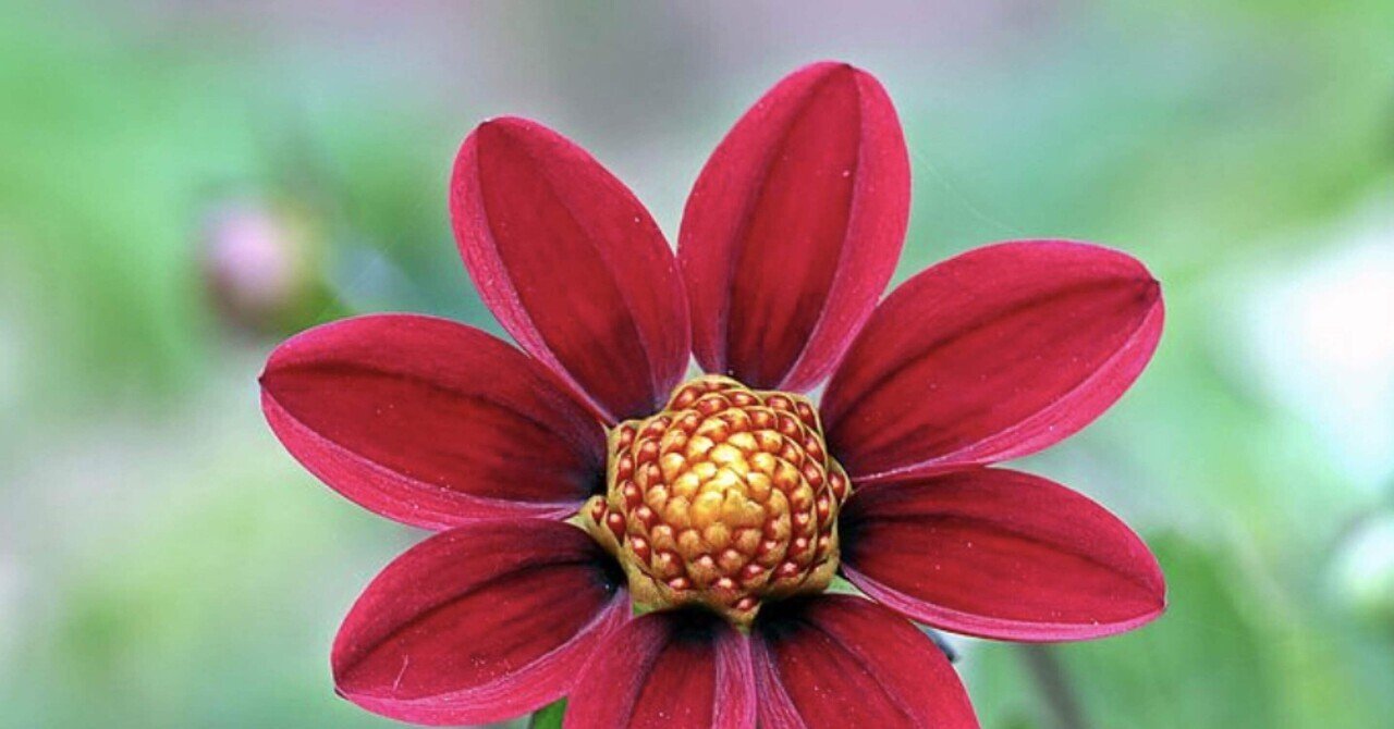 20230416｜mito_k13｜note