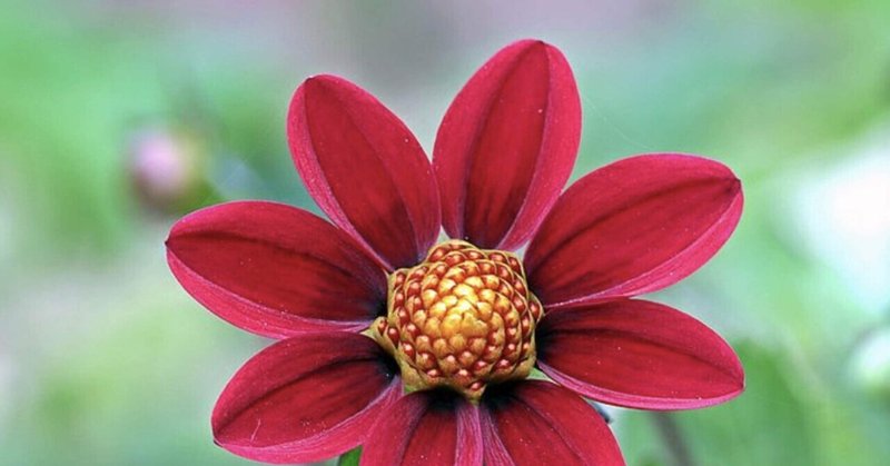 20230416｜mito_k13｜note