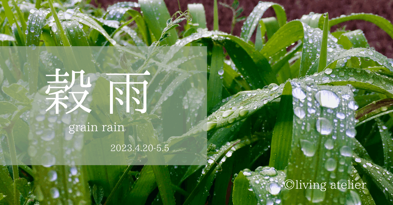 どんなものを育てたいですか？｜まつばらあや｜living atelier｜note