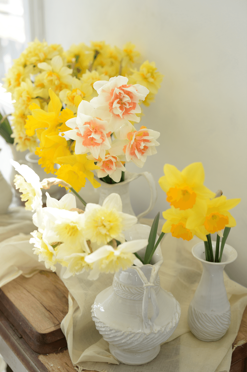 ‘22 Flower base｜Julia Moli