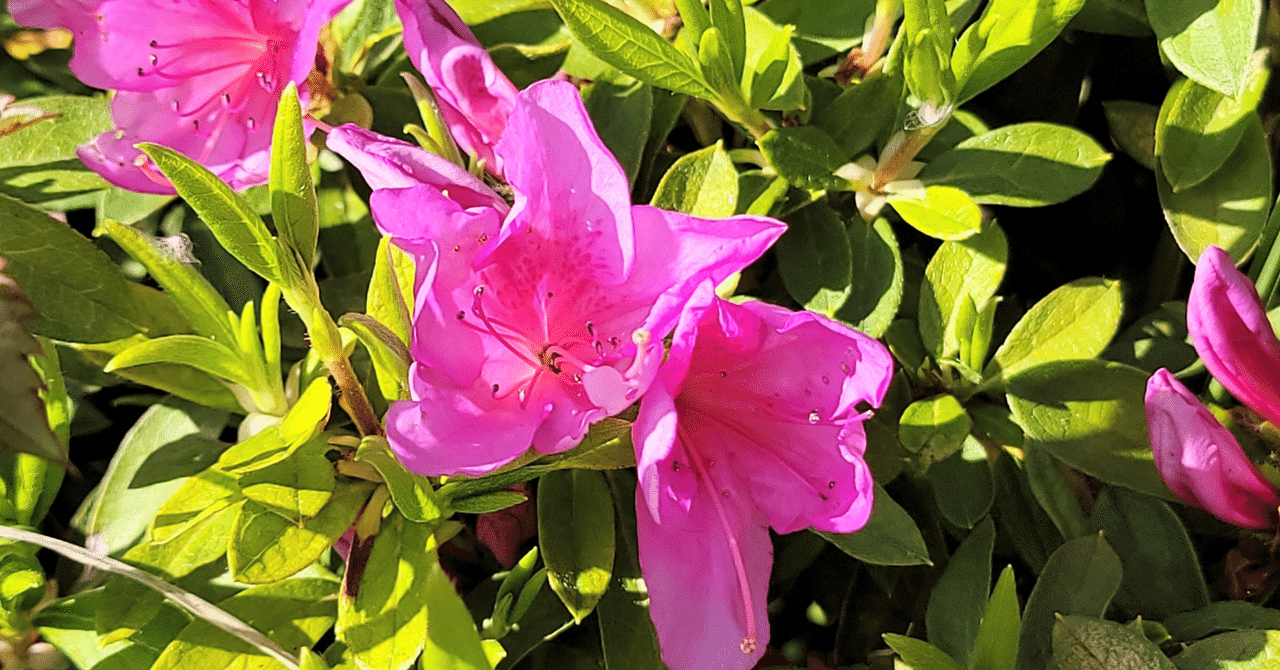 hdd linux install method｜blue06_2022｜note