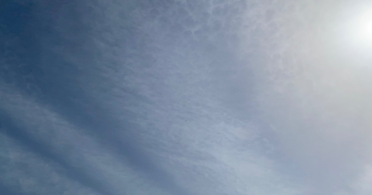 デトックス④｜starseed Sachi｜note