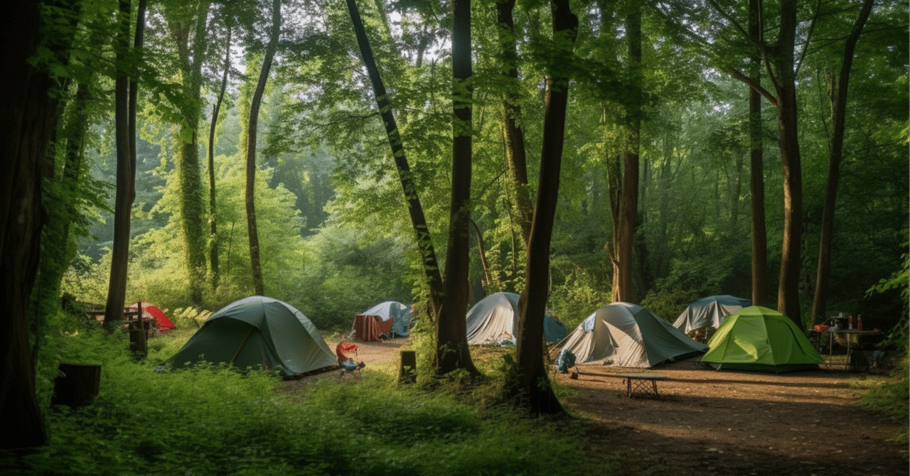 倒木の恐れのあるキャンプ場の樹木の管理はどうするべきか？｜ExCAMP | 穴場キャンプ場情報発信