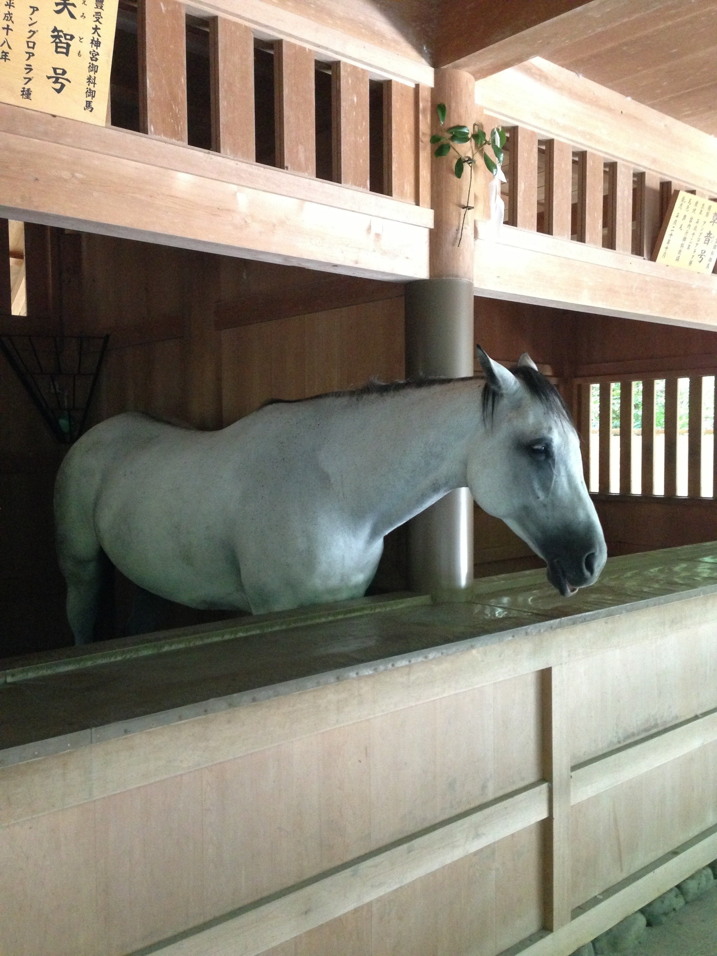 和田務(Tsutomu Wada C'sFact)｜note