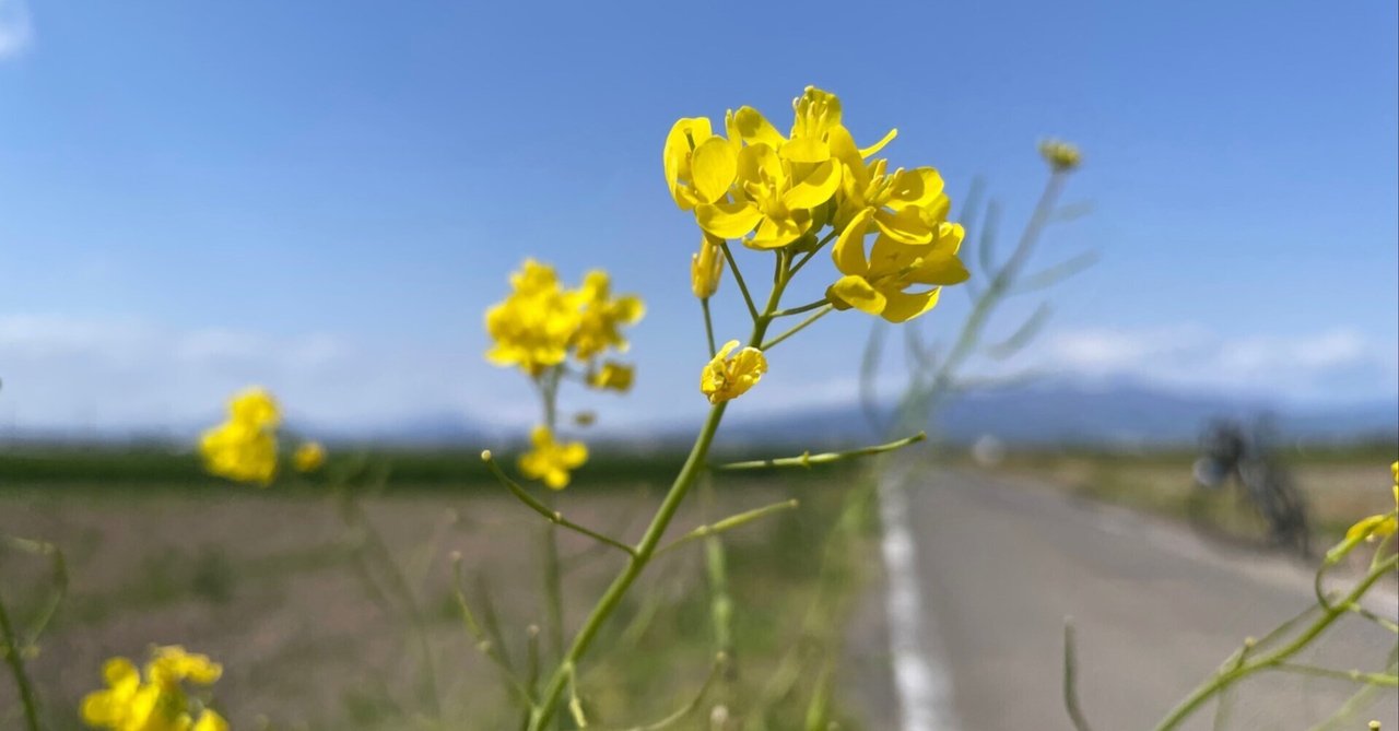 初日、さまざまなキャラの登場（GH全記録）｜蒼井瀬名（Aoi sena）｜note