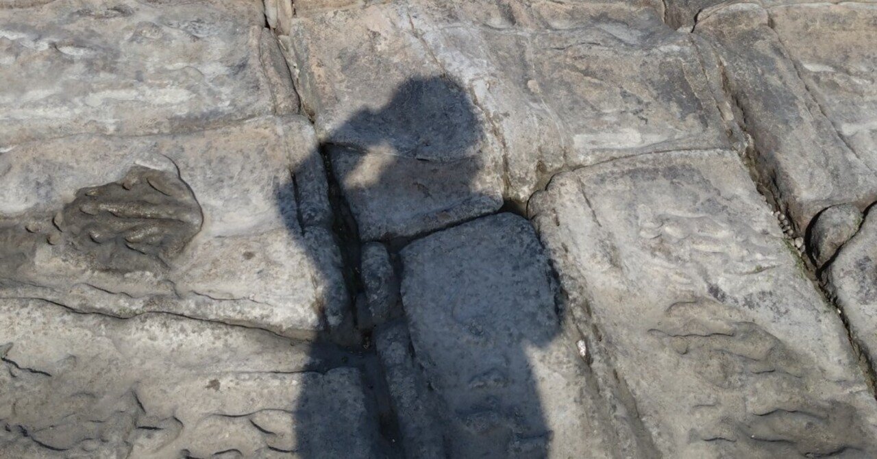 自己紹介。の、練習。｜Chie TAKEHARA