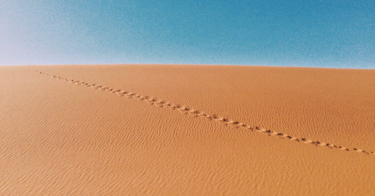 次の風がまた吹き始めるまで｜hiroaki｜note