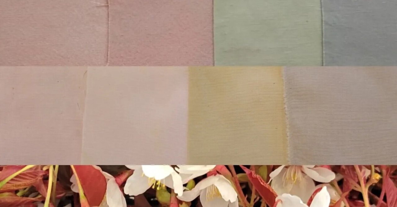 桜染め｜Eiji Kawahara