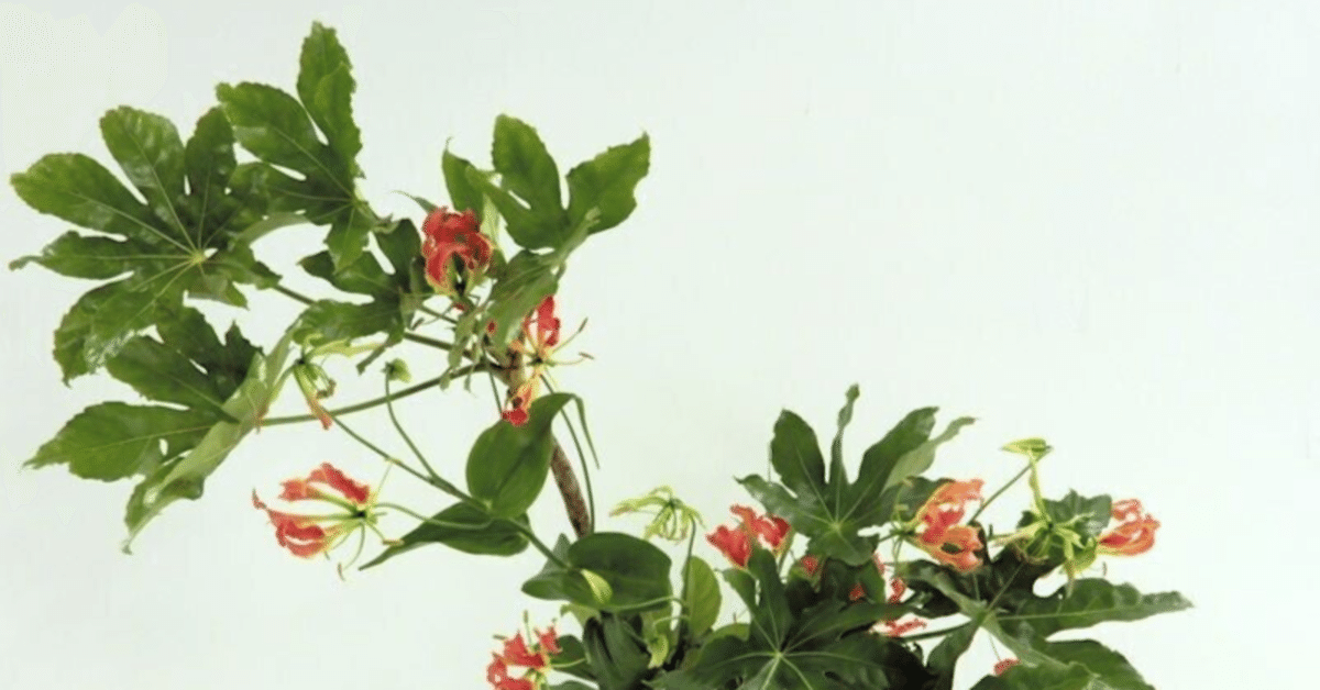 ChatGPTで格調高い英語を書く｜Hisao Tsujimura