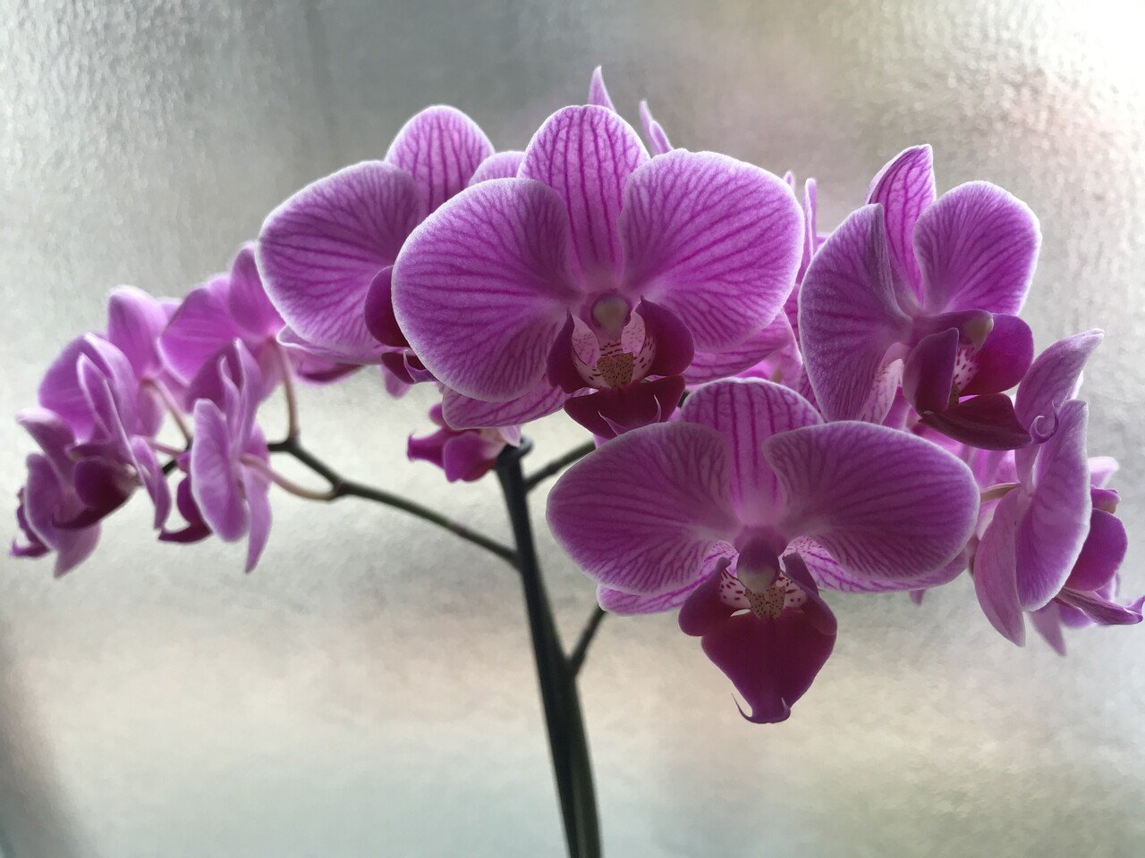 『こんにちはnote🍀4/18』 こんにちは‼ 今日も半分が過ぎようとしていますね(^^) 午後も気を付けて🌸 行ってらっしゃい(^^)/～～～｜Ryosuke Matsusima