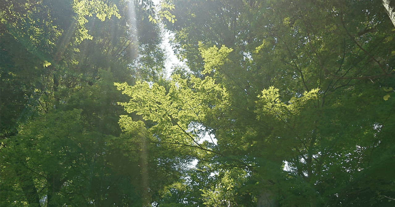 【和歌】優しい光に包まれるとき🦄｜五十嵐創 / Soh Igarashi｜note